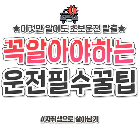 자취생으로 살아남기 운전자라면 꼭 알아야하는 🚙🚗운전 필수 꿀팁🚗🚙 이거 모르면 운전하면 안