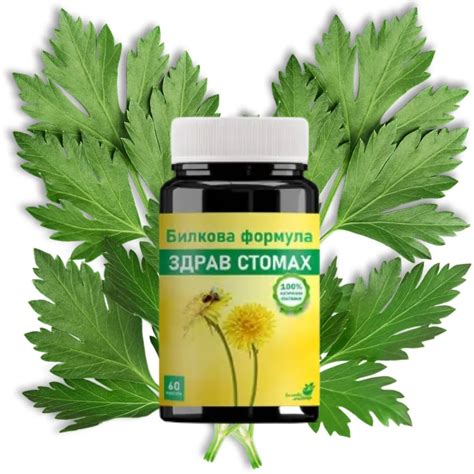 Билкова формула за чист бял дроб и бронхи