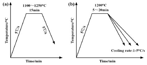 Schematic Diagram Of The In Situ Observation In Experiment Download