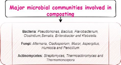 Different Microbial Communities In Composting [68] Download Scientific Diagram