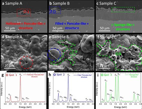 Sem Micrographs Recorded On The Cross Section First Row And Top Most
