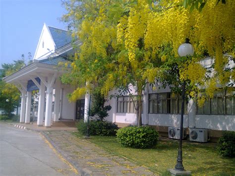 ภาควิชารัฐศาสตร์ คณะสังคมศาสตร์ มหาวิทยาลัยมหาจุฬาลงกรณราชวิทยาลัย Added A ภาควิชารัฐศาสตร์