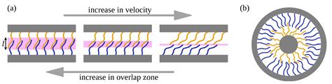 Lubricants Free Full Text Polymer Brush Friction In Cylindrical Geometries