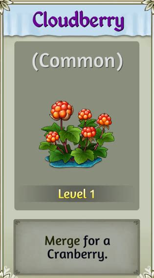 Cloudberry Dragons And Elfs Wiki Fandom