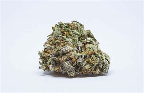 The Top 10 Best Weed Strains For Sex 2025