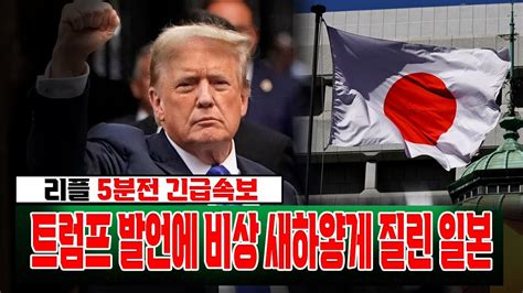 리플 전망 리플 5분전 긴급속보 트럼프 발언에 비상 새하얗게 질린 일본 비트시황 코인시황 급등코인추천리플코인
