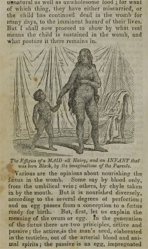 ඇරසටටලග කම සතරය වනදසය Aristotle Sex Manual Gossip Lanka Hot News Sri Lanka