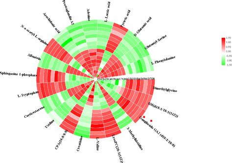Figure 3 From High Throughput Metabolomics For Identification Of