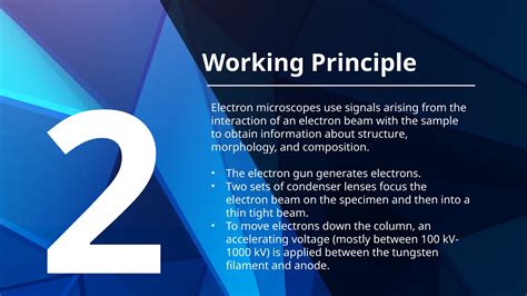 Electron Microscopy Types Scanning Electron Microscope And