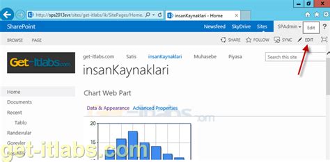 sharepoint visio web access web partı ekleme get