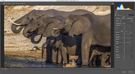 How To Remove Shadows From A Photo In Photoshop PhotoshopCAFE