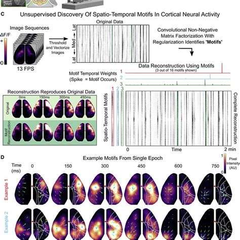 discovery of spatiotemporal patterns in cortical activity of awake