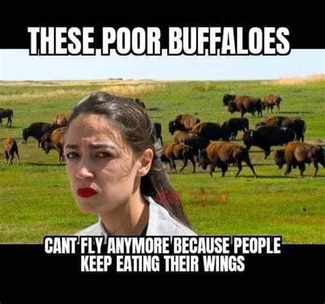 Wings Meme By Memester19 Memedroid