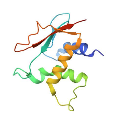 Rcsb Pdb 8jkn T95r Mutant Irf4 Dna Binding Domain Bound To An Dna Containing Gaaa Motif