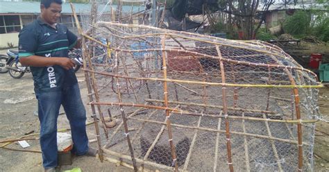 Bau Masam Bubu Rotan Mampu Tarik Kehadiran Ikan Harian Metro