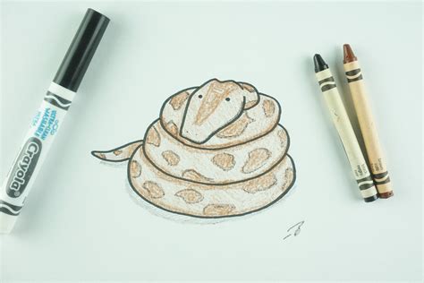 How To Draw A Python