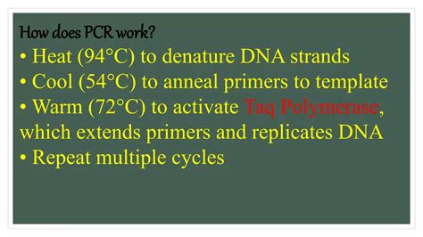 Polymerase Chain Reaction Pcr Ppt