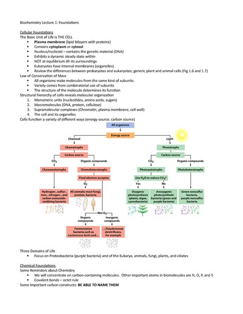 Biochemistry Lecture 1 Notes Biochemistry Lecture 1 Foundations