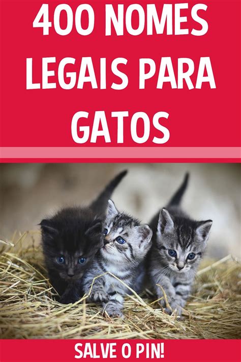 400 Ideias Para Nomes De Gatos Nomes De Gatos Gatos Gatos Raros