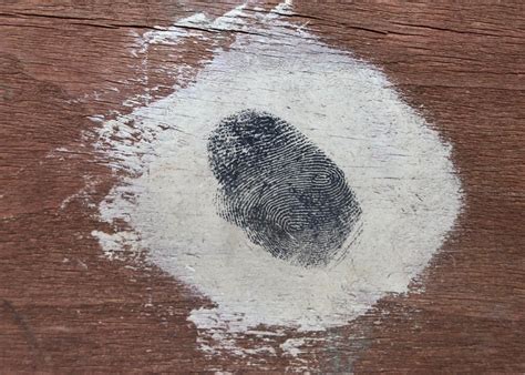 Proantic Prosper De Wit 1862 1951 More Credit Fingerprint Signatu