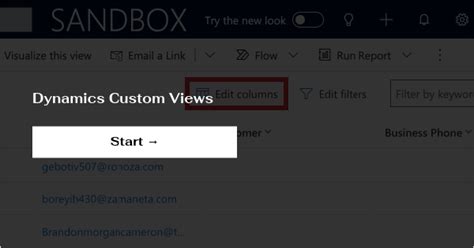 Dynamics Custom Views