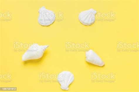 다른 모양 나선형 플랫 화이트 바다 조개 모래 노란색 바탕에 둥근 프레임에 배치 여름 비치 휴가 스파 웰빙 포스터 스 트리머