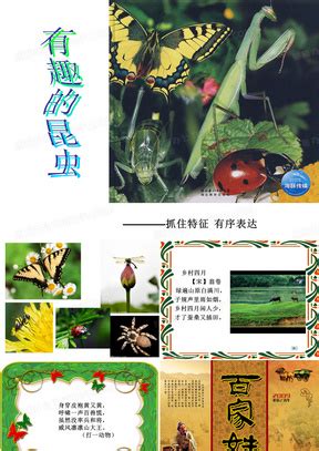 昆虫ppt模板昆虫ppt模板下载熊猫办公