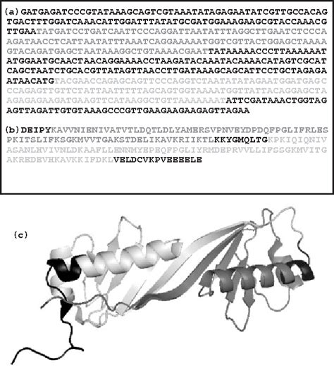 Figure 1 From Bioinformatics Applications Note Swelfe A Detector Of Internal Repeats In