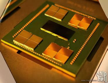 AMD EPYC Bergamo Core Processor Based On Same SP Socket As Genoa TechPowerUp