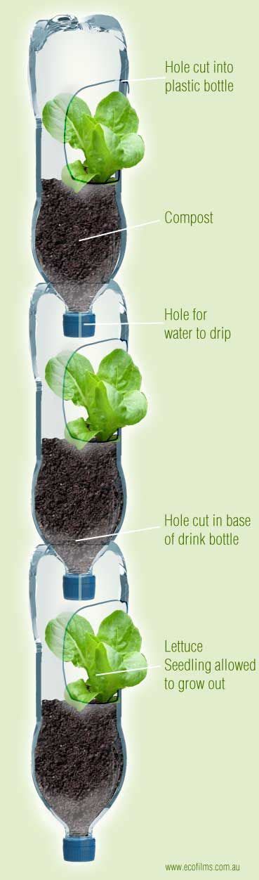 Vertical Bottle Garden Bottle Garden Plants Veggie Garden