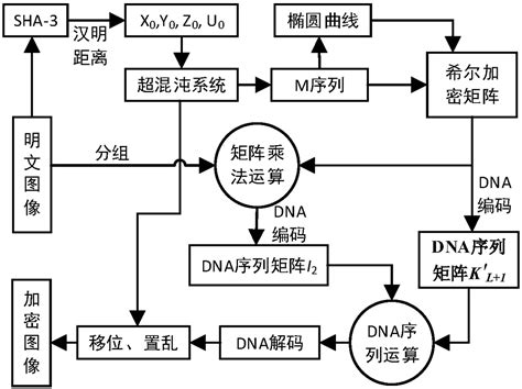 Hill Encryption And Dynamic Dna Coding Based Image Encryption Method Eureka Patsnap Develop