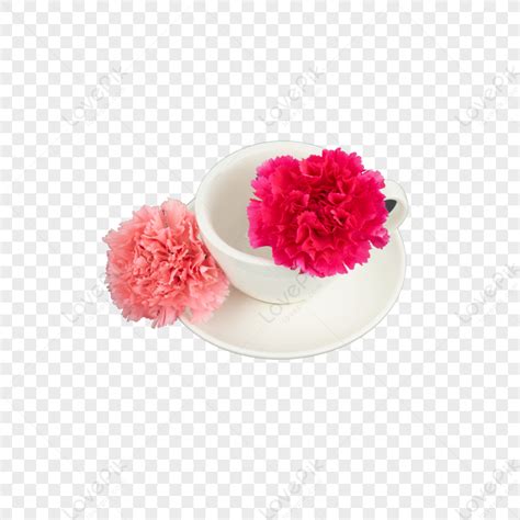 핑크 큰 붉은 꽃 빈 컵 접시 커피 일러스트서양식용기 Png 일러스트 무료 다운로드 Lovepik