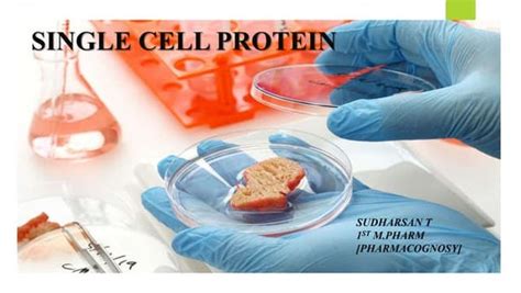 220705180035single Cell Protein Pptx