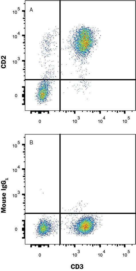 Human Cd2 Antibody Mab18562 100 Randd Systems