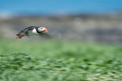 What Are Shutter Speed And Aperture Nature TTL