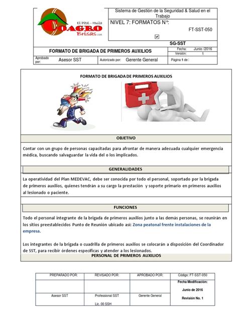 Formato Brigada Primeros Auxilios Pdf Primeros Auxilios Cuidado
