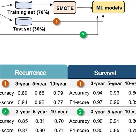 Compositions Of Database And Results Of 1 Internal And 2 External Download Scientific