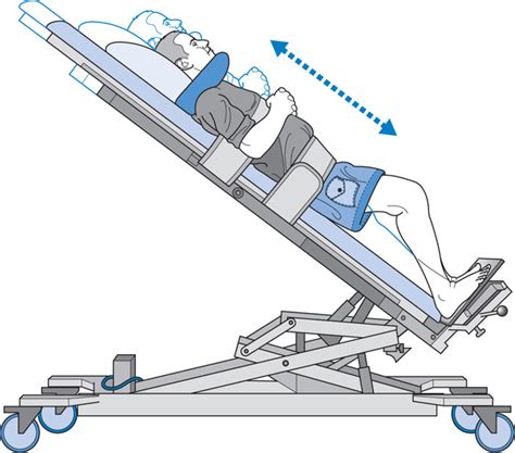 Strength Training Musculoskeletal Key