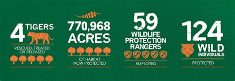 Governance International Tiger Project