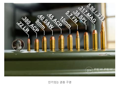 樂미국에서 인기있는 권총탄들