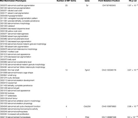 Population Structure Ps Analysis Was Performed On Causative Snp Download Scientific Diagram