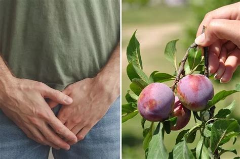 Sex Tips Advice Facts Relationships Daily Star