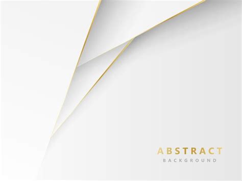Premium Vector Paper Cut Gray Abstract Background With Elegant Gold Lines