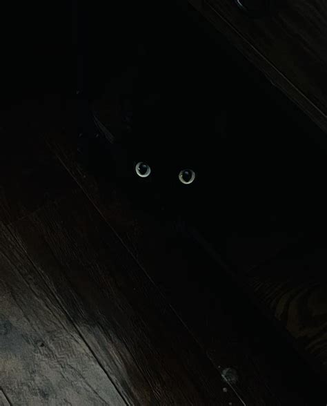 My Void Girl Rvantacat