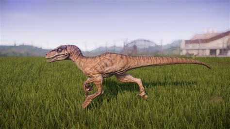 Pin By Ghorgapesh Industries On Speculative Evolution Blue Jurassic