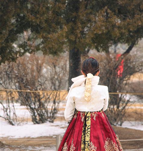 100000 무료 여자 한복 And 여자 이미지 Pixabay