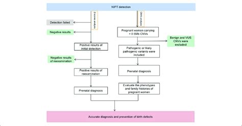 The Flow Of Nipt Combining Z Score And Maternal Cnvs Analysis