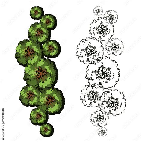 Trees For The Master Plan Tree For Architectural Floor Plans Entourage Design Various Trees
