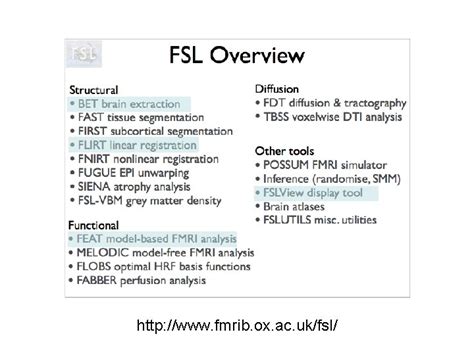 Statistical Parametric Mapping Lecture 11 Chapter 13 Head