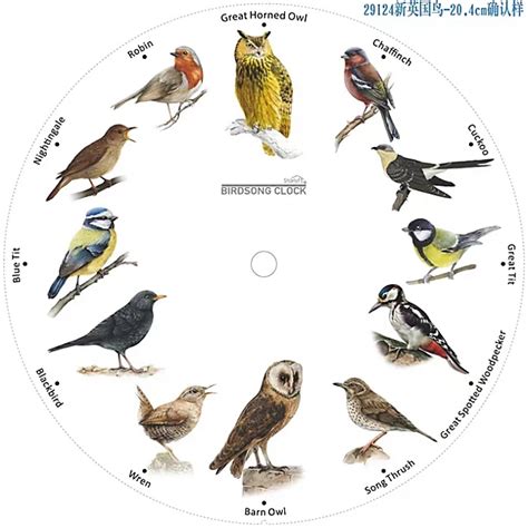 Jml Crevice Brush Multi Functional Gap Cleaning Brush